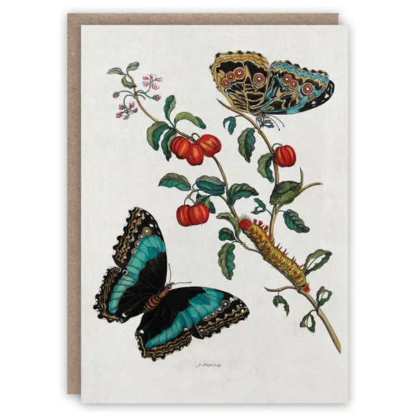 Caterpillar and Butterflies Card – Sunshine and Snow Shop